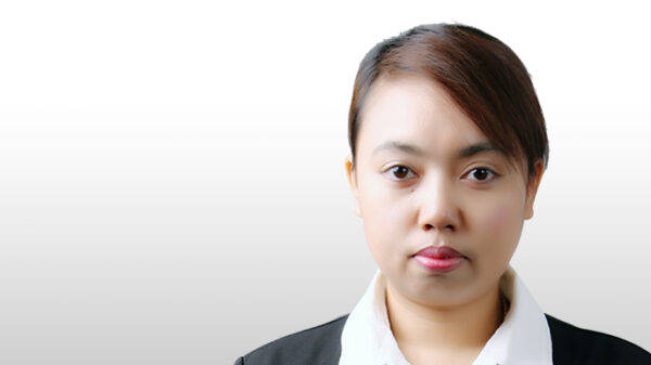 Governance Structure - Myanma Awba