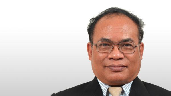 Governance Structure - Myanma Awba