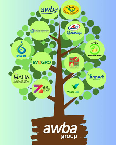 Newsletter - Myanma Awba Group