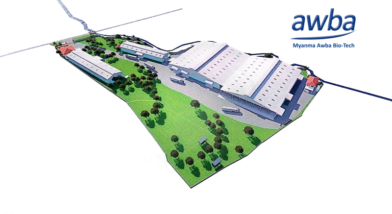 About Us - Myanma Awba